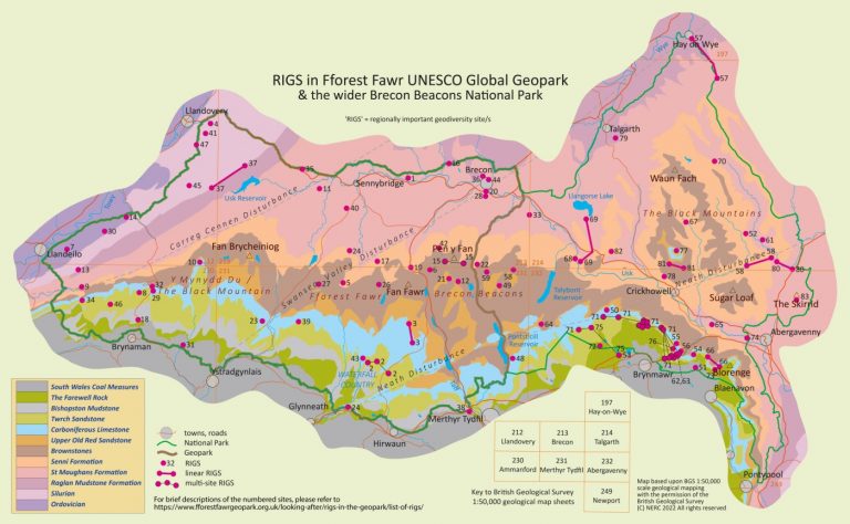 RIGS in the Geopark | Fforest Fawr