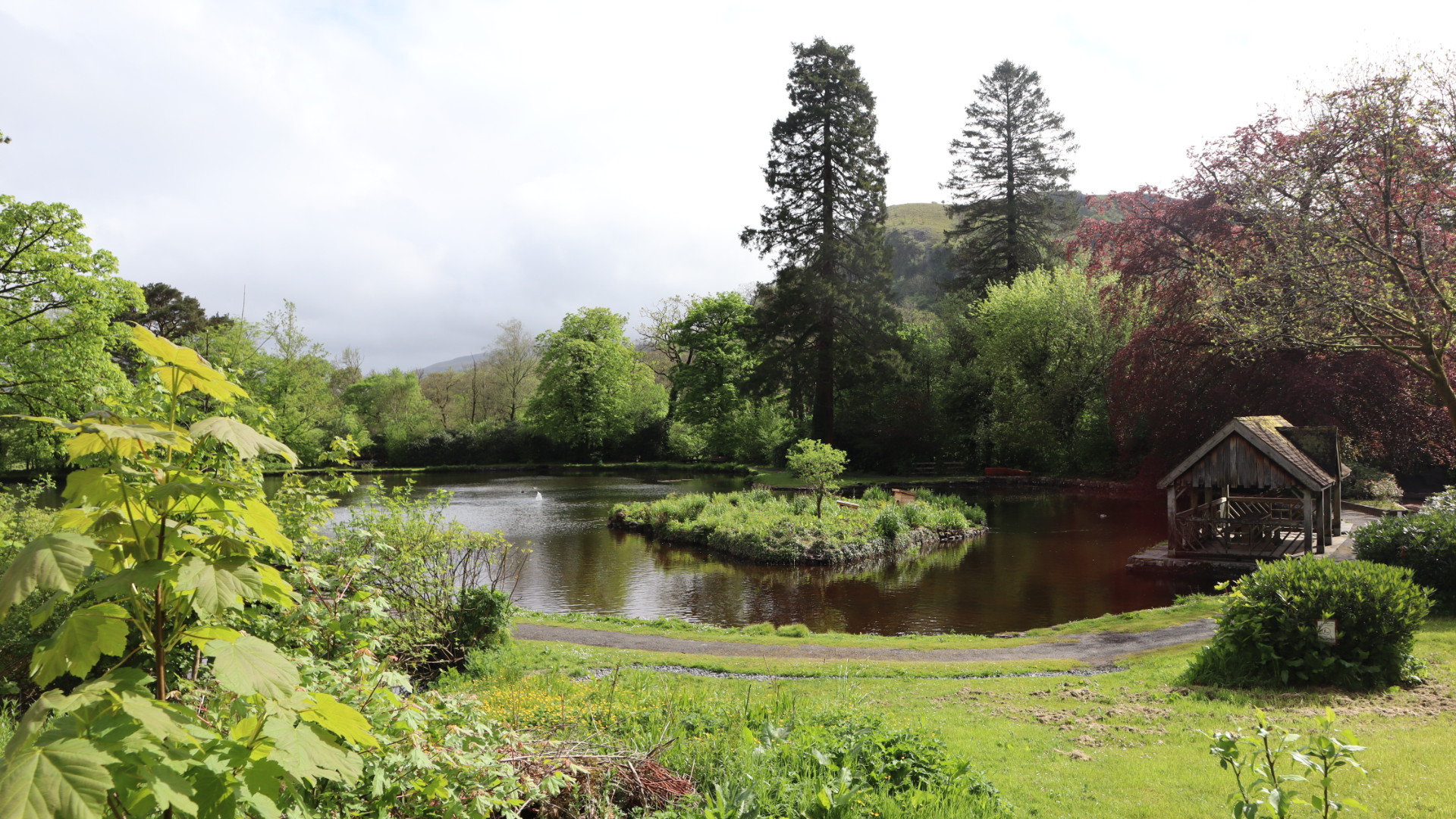 Craig-y-nos Country Park | Fforest Fawr