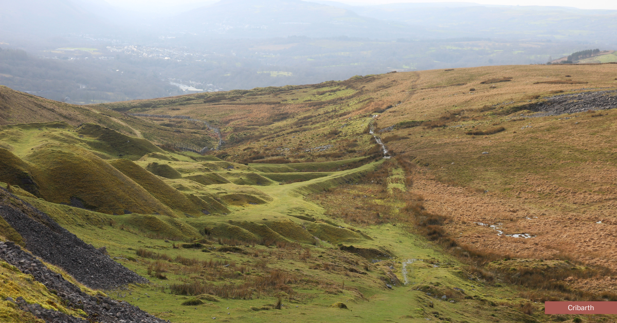 Cribarth | Fforest Fawr