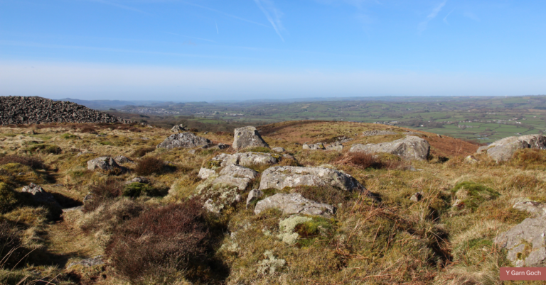 Y Garn Goch | Fforest Fawr