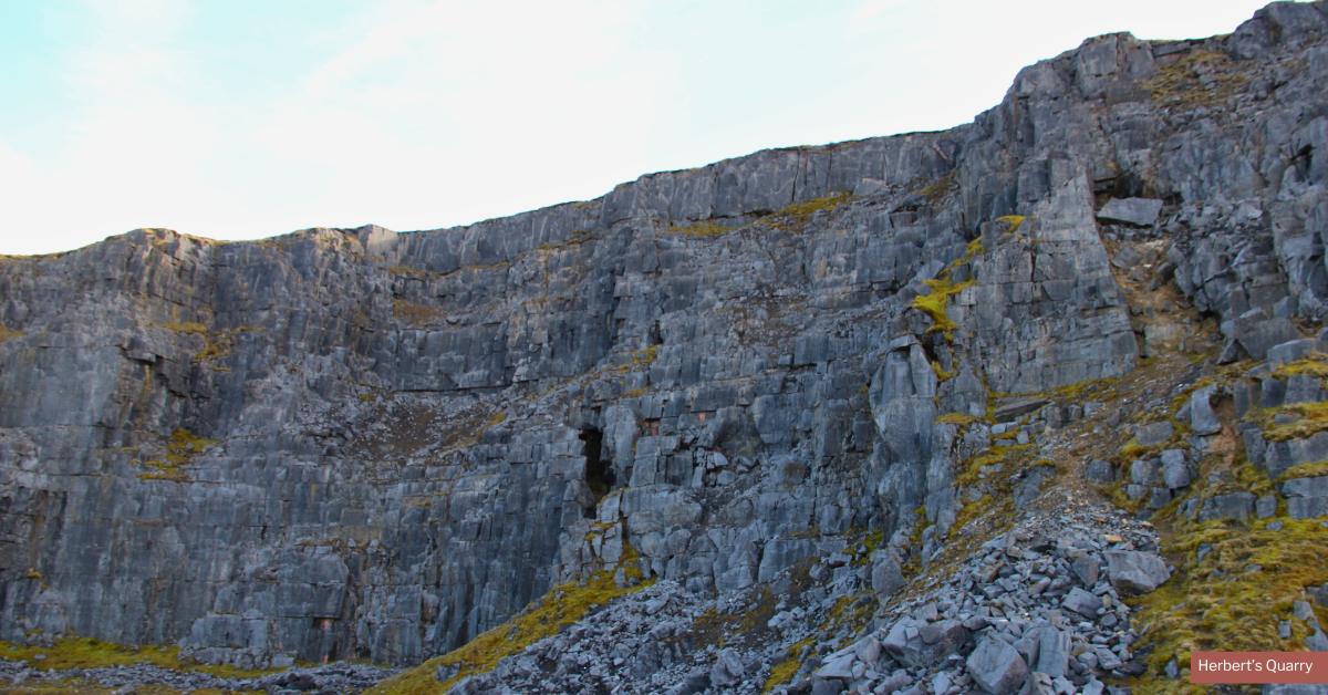 Herbert’s Quarry | Fforest Fawr